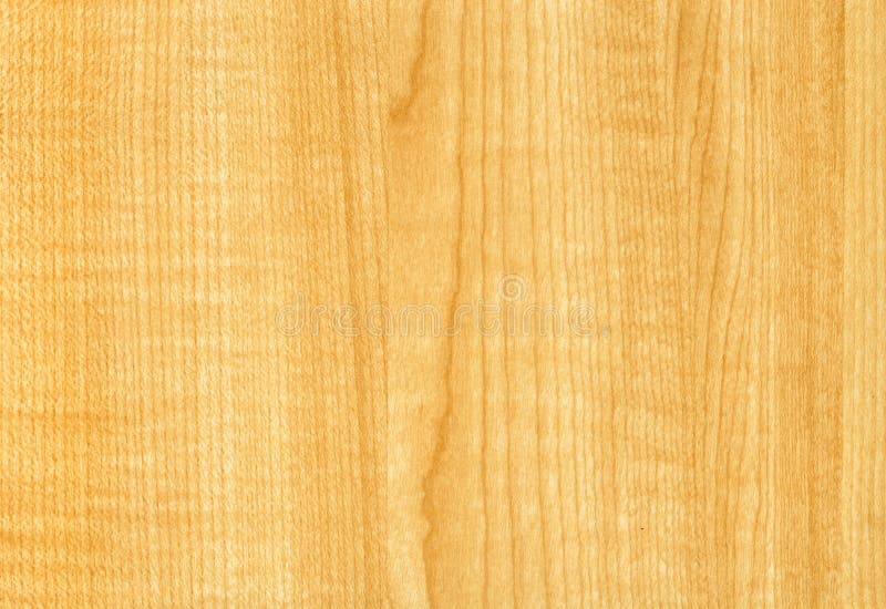 Arce (textura de madera) imagen de archivo. Imagen de tarjeta - 8109105
