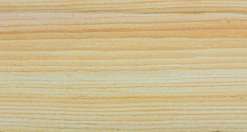 Textura De Madera Del árbol De Cedro Foto de archivo - Imagen de suelo ...