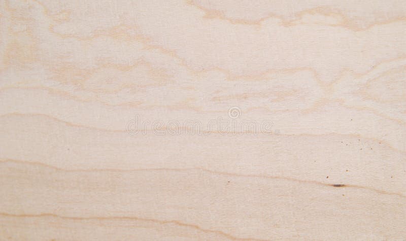 Textura de madera del arce imagen de archivo. Imagen de wallpaper - 4471119