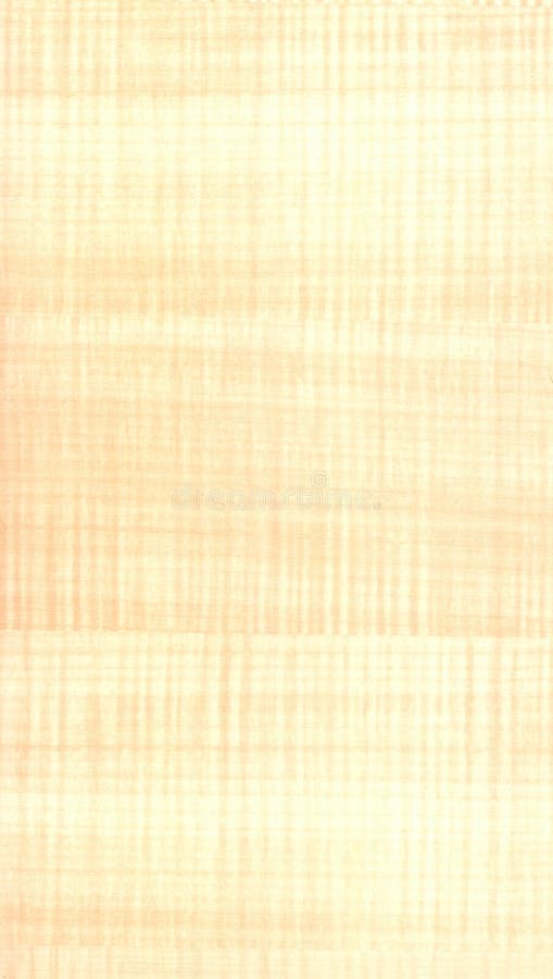 Textura de madera del arce imagen de archivo. Imagen de panel - 46748787