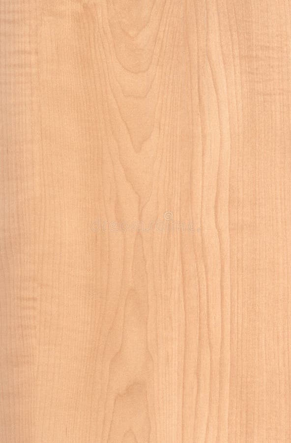 Textura de madera del arce imagen de archivo. Imagen de panel - 46748787