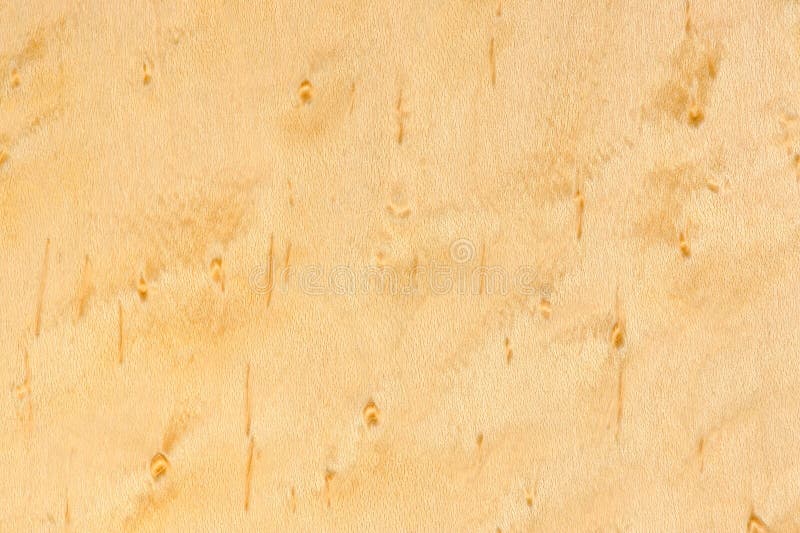 Textura De Madera Del Arce De Birdseye Foto de archivo - Imagen de ...
