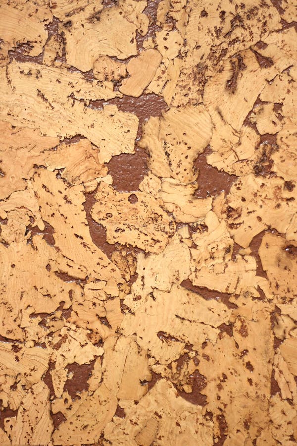 Textura De Madera Del Corcho Foto de archivo - Imagen de textura ...
