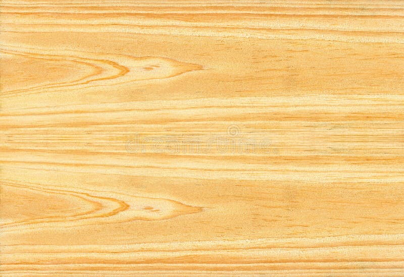 Textura de madera del pino imagen de archivo. Imagen de entarimado ...