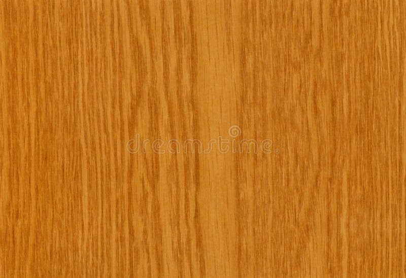 Textura De Madera Del Roble De Lighti Del Primer Imagen de archivo ...