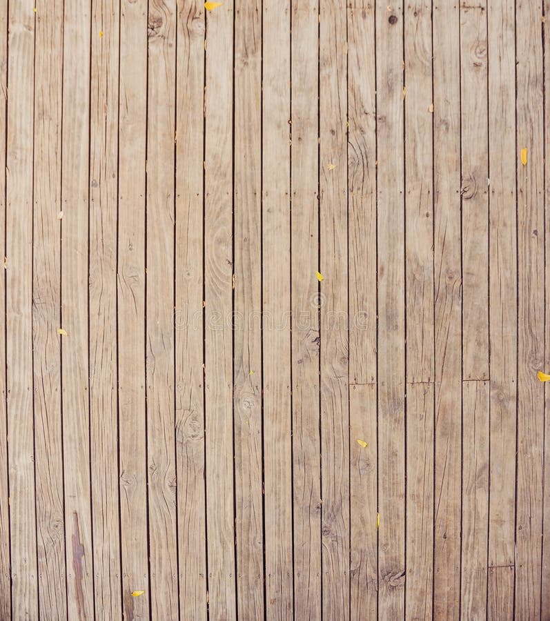 Textura De Madera De La Pared Con Los Modelos Naturales Imagen de ...