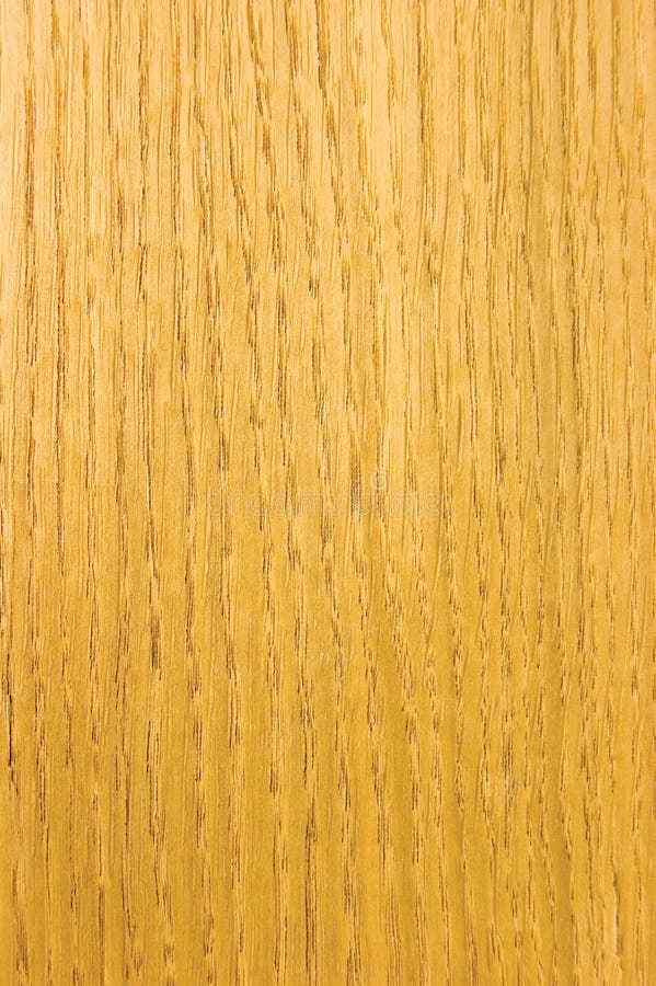 Textura de madera ligera imagen de archivo. Imagen de interior - 4922911