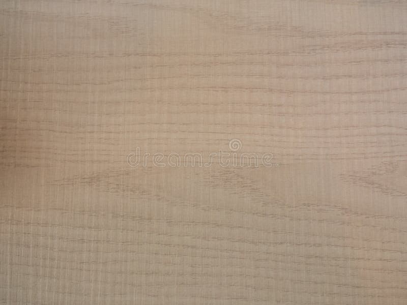 Textura de madera ligera foto de archivo. Imagen de vector - 142198268