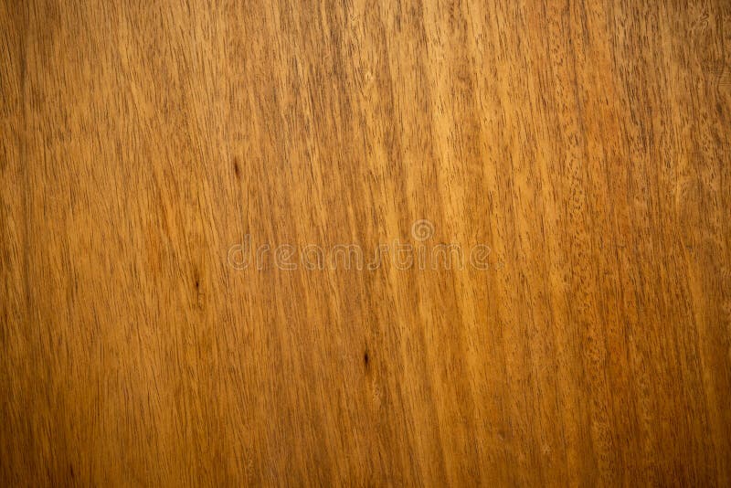 Textura De Madera Del Mango Imagen de archivo - Imagen de modelo ...