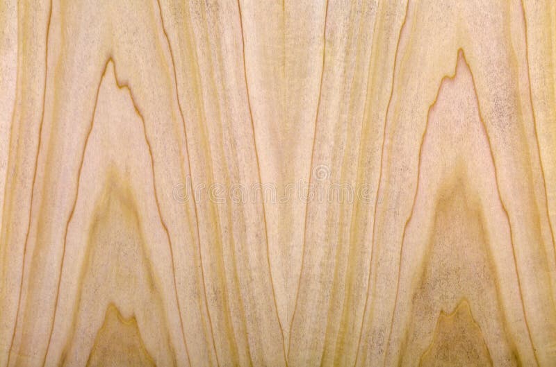 Textura De Madera Natural Del Arce Imagen de archivo - Imagen de pared ...