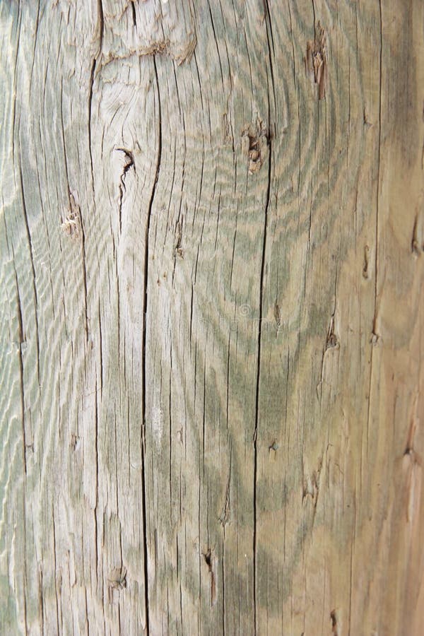 Textura De Madera Natural a Rayado Con Foto de archivo - Imagen de vena ...