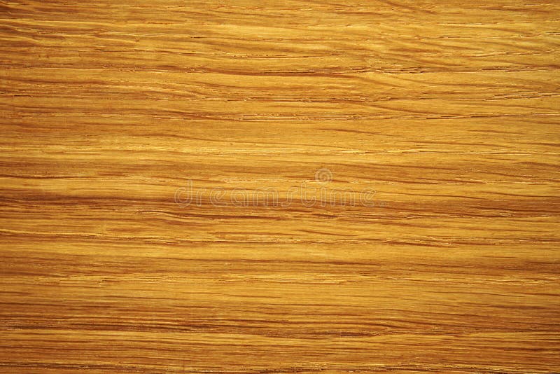 Textura de madera de roble foto de archivo. Imagen de pino - 111199790