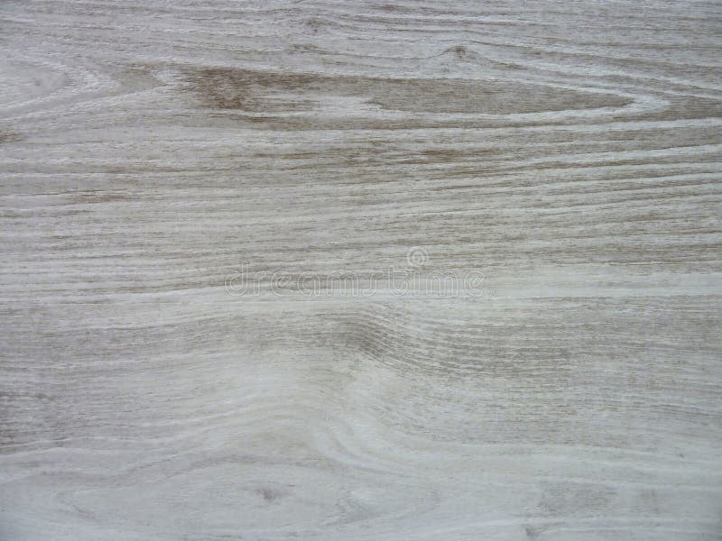 Textura De Madera De Roble Blanco Foto de archivo - Imagen de roble ...