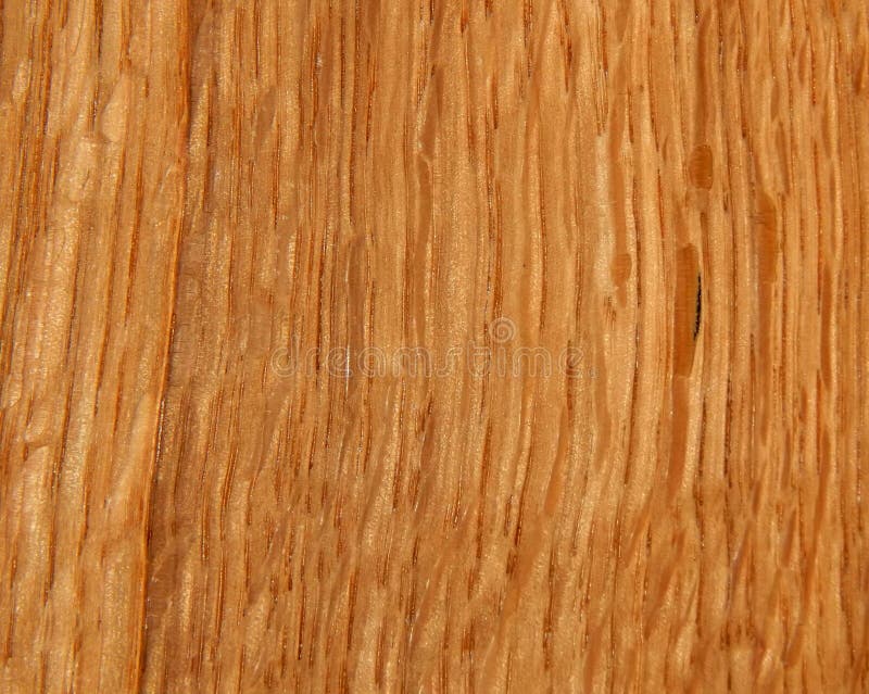 Textura De Madera Superficie De La Hoja Del Roble Foto de archivo ...