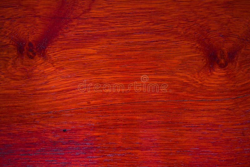 Textura de madera tropical foto de archivo. Imagen de tierra - 15637048