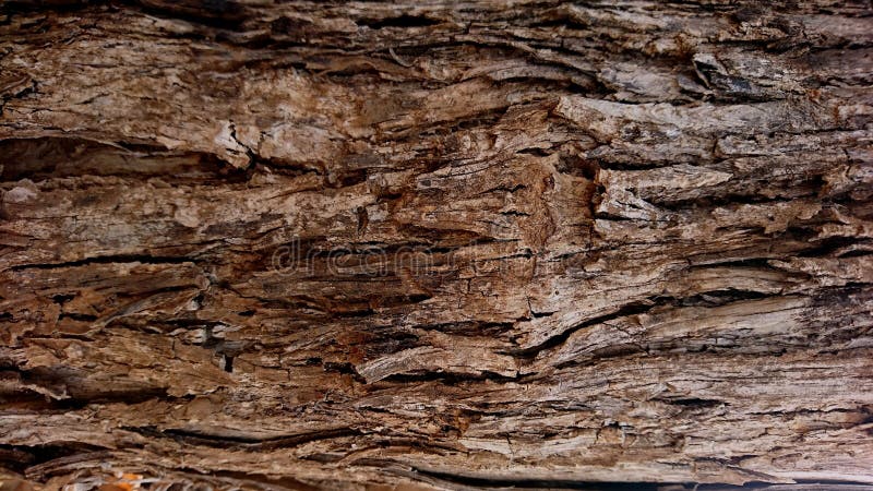 Textura De Madera Vieja Rota Y Rota Imagen de archivo - Imagen de sucio ...