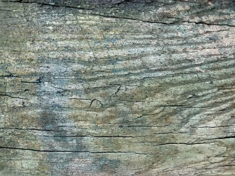 Textura de madera stock image. Image of textura, wood - 46607121