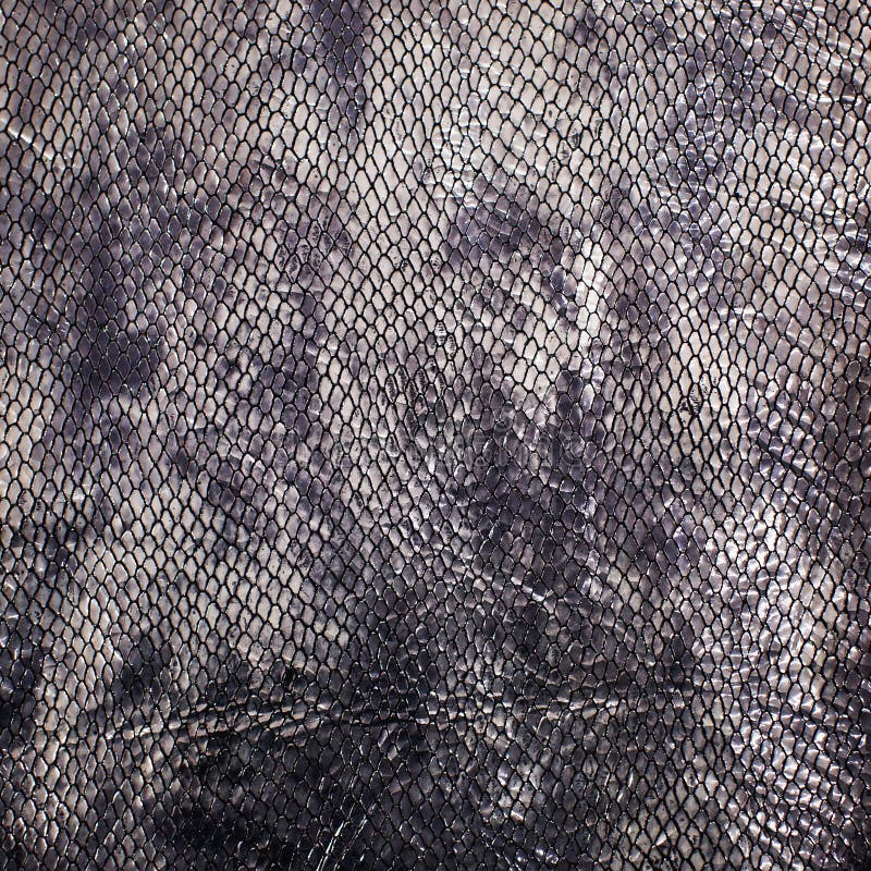 Textura De Piel De Serpiente Foto de archivo - Imagen de negro, manera ...