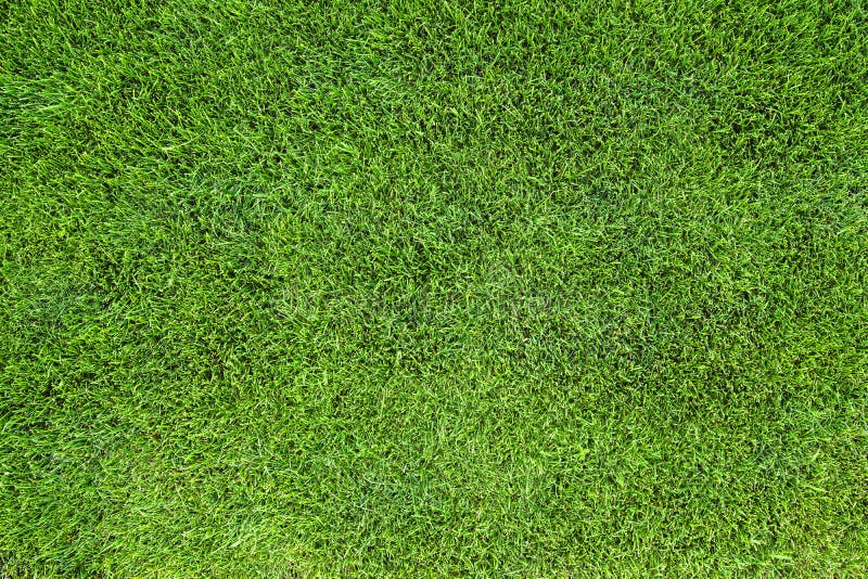 Textura De Relva Verde Perfeitamente Aparada Foto de Stock - Imagem de ...