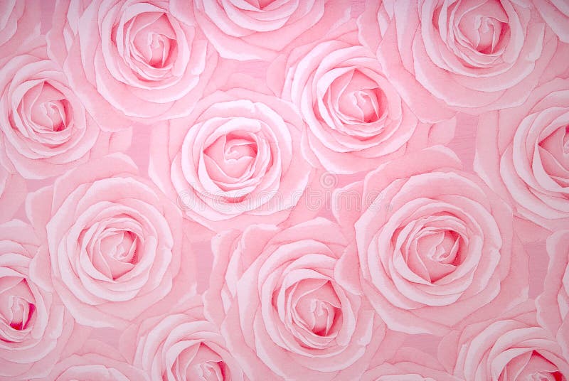 Textura de Rose foto de archivo. Imagen de textura, papel - 8839096