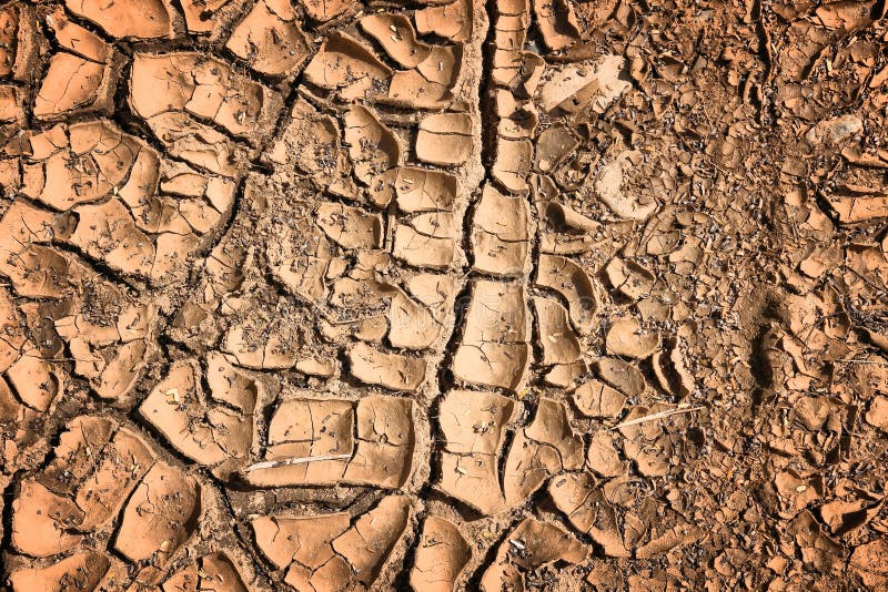 Textura de terra seca imagem de stock. Imagem de fundo - 176939053
