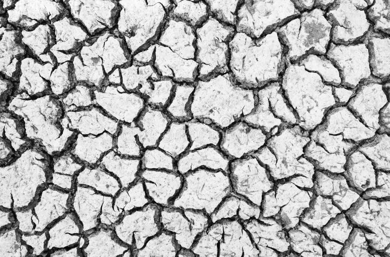 Pista de tierra árida imagen de archivo. Imagen de estéril - 23577079