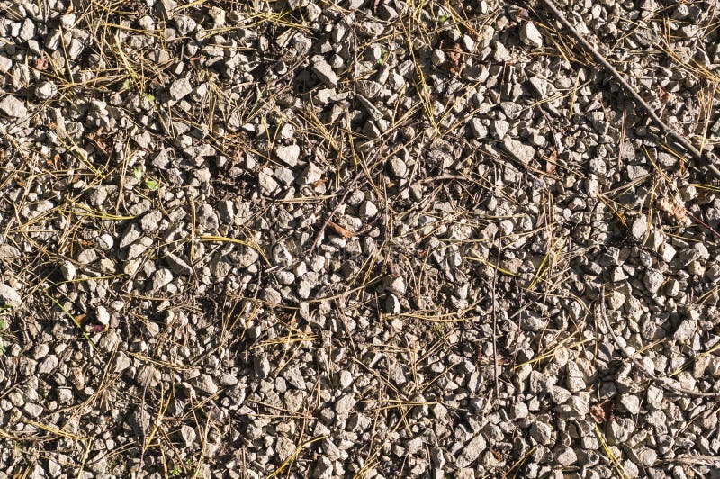 Textura De Tierra Rocosa Fondo Foto de archivo - Imagen de primer ...