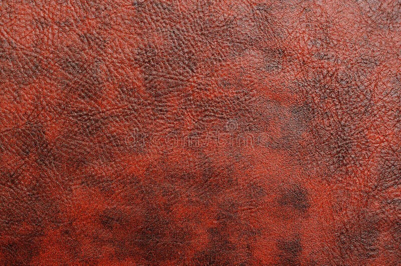 Textura de una piel foto de archivo. Imagen de texturizado - 10106048