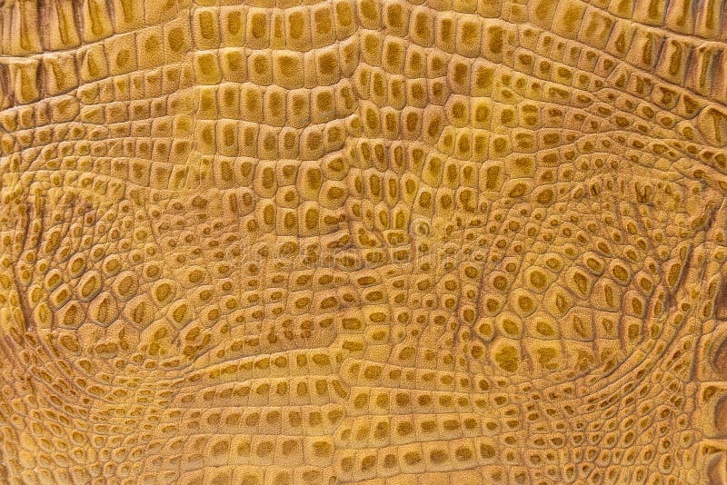 Textura Del Amarillo De La Piel Imagen de archivo - Imagen de ...