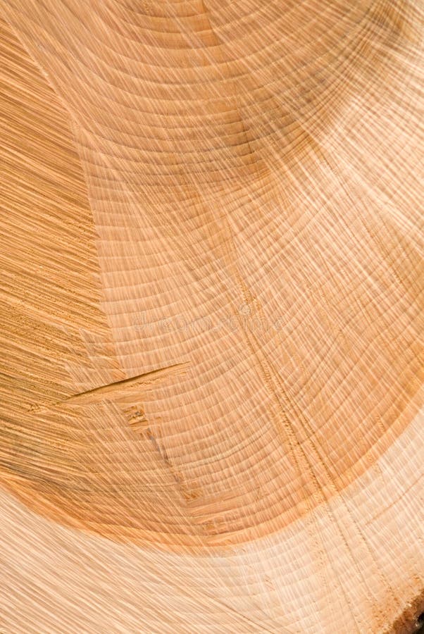 Cedar Plank Texture foto de archivo. Imagen de madera - 151332720