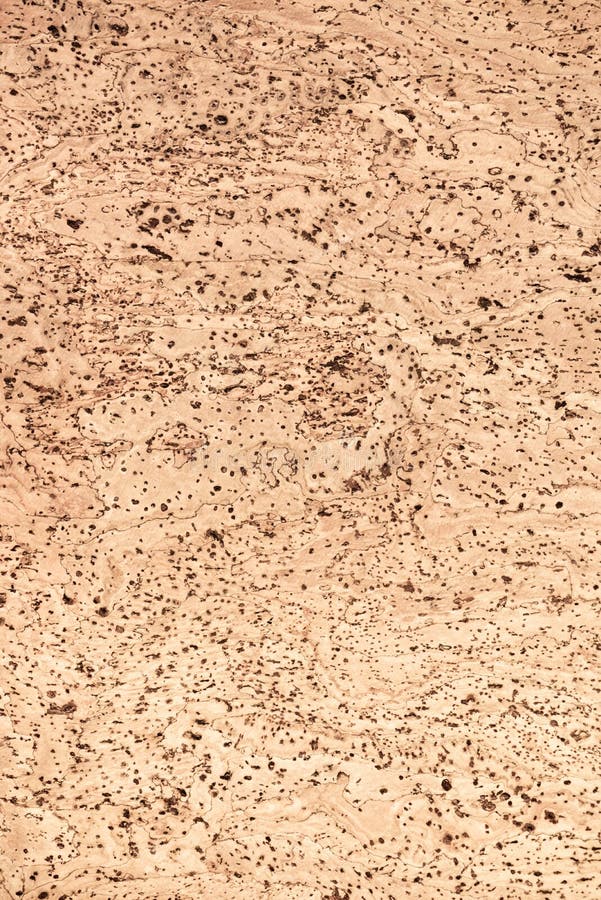 Textura del corcho natural foto de archivo. Imagen de pared - 131857922