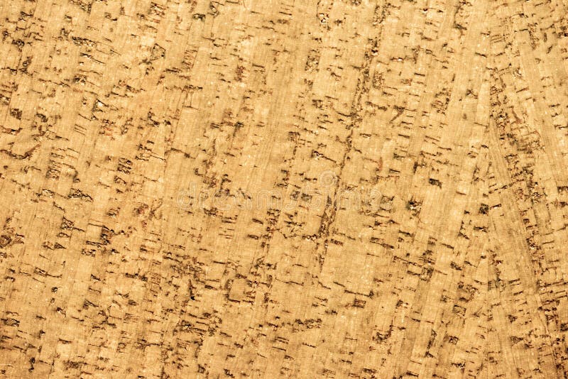 Textura del corcho natural imagen de archivo. Imagen de textura - 131858683