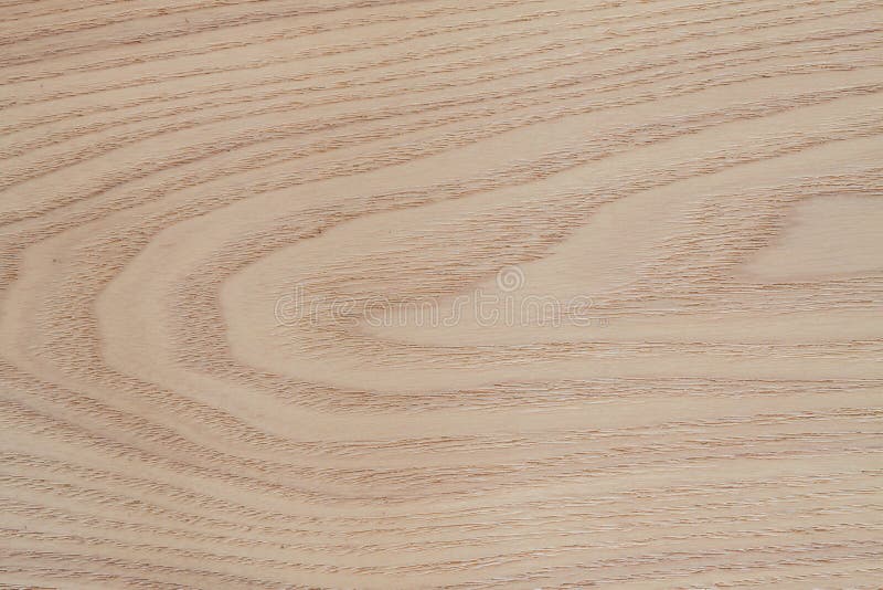 Textura Del Fondo De Madera De Roble Blanco Imagen de archivo - Imagen ...