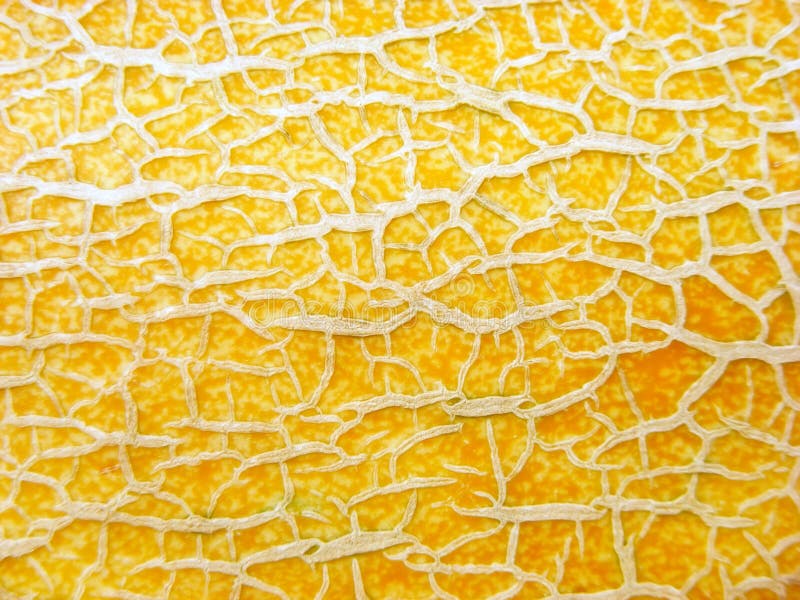 Primer De La Textura Amarilla Del Melón Foto de archivo - Imagen de ...