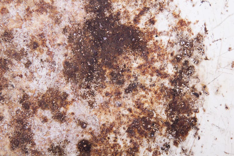 Textura Del Moho Para El Fondo Foto de archivo - Imagen de hierro ...