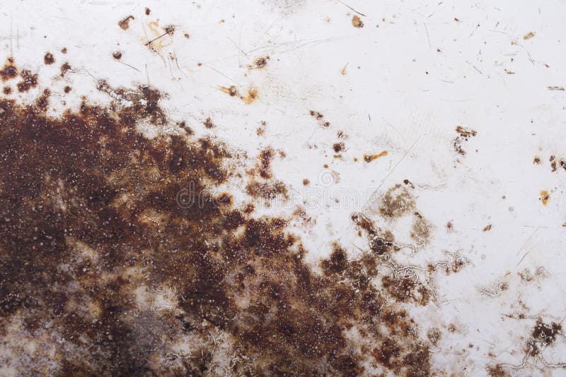 Textura Del Moho Para El Fondo, Foto de archivo - Imagen de antigüedad ...