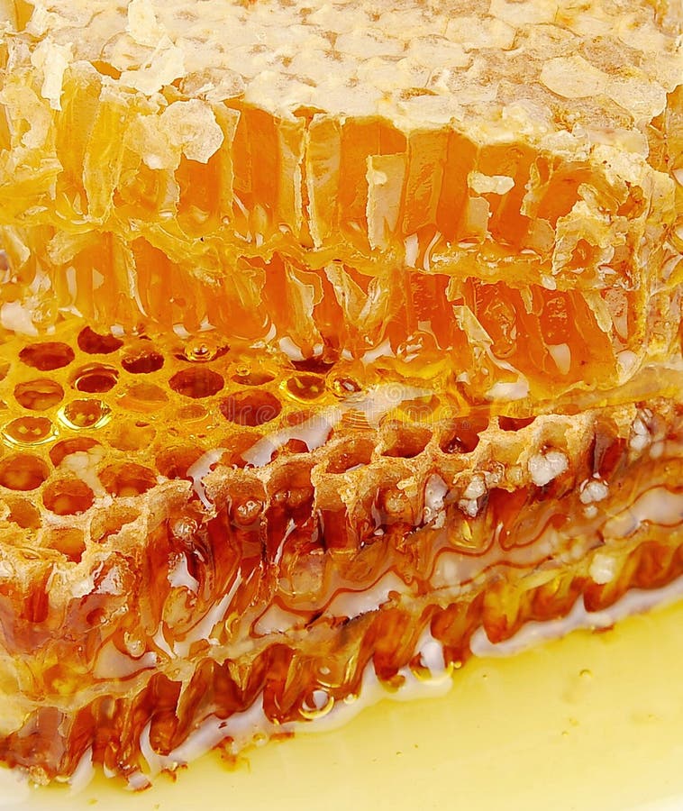 Textura del panal foto de archivo. Imagen de peine, cera - 26458742