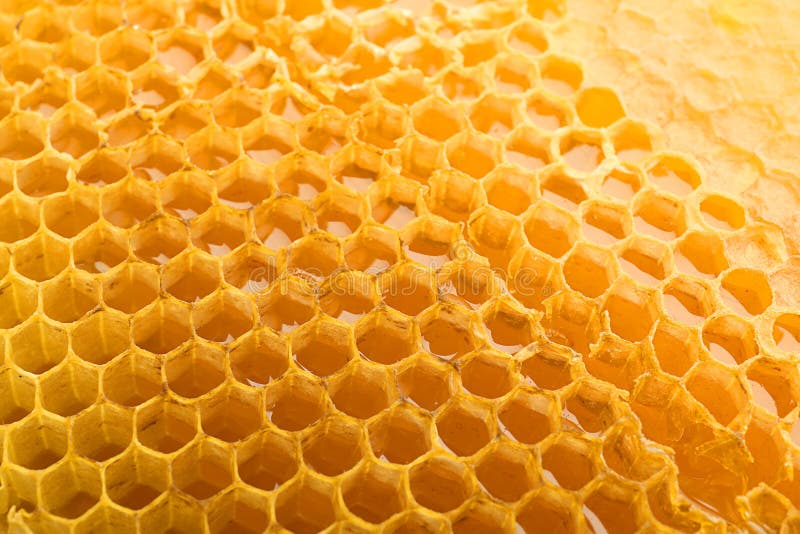 Textura Del Panal Fresco, Primer Imagen de archivo - Imagen de ...