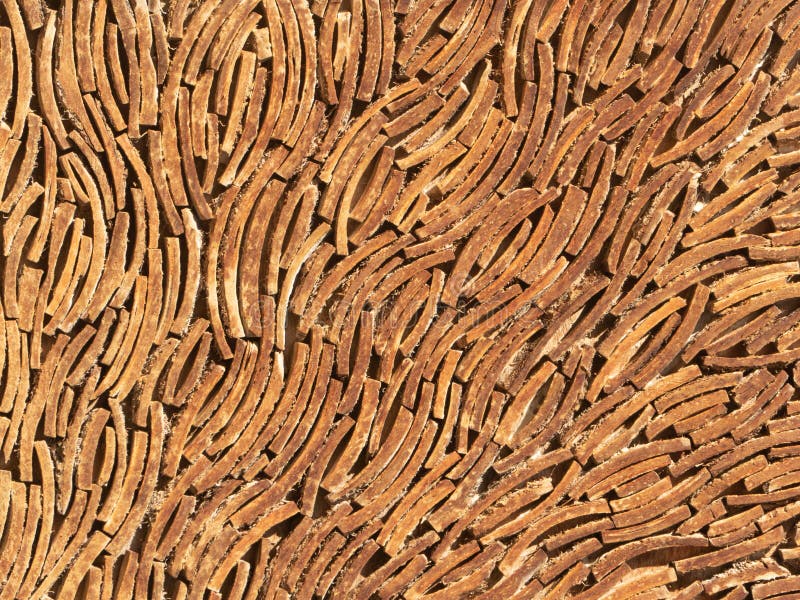 Textura Del Panel De La Pared De La Concha De Coco Imagen de archivo ...