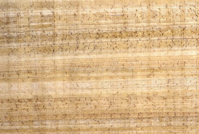 Textura del papiro imagen de archivo. Imagen de travieso - 14041515