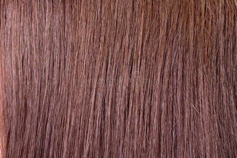 8,763 Textura Del Pelo Humano Fotos de stock - Fotos libres de regalías ...