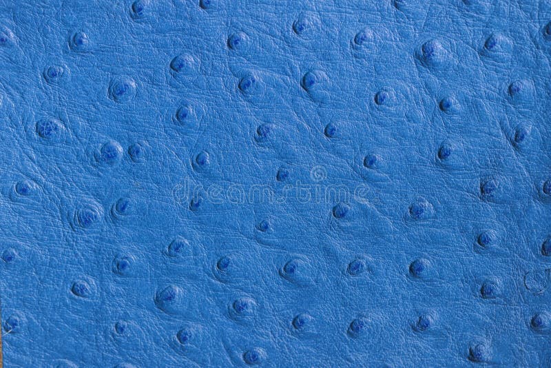 218 Textura De Cuero De La Piel De La Avestruz Fotos Libres De