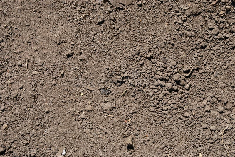 Textura Del Suelo Fotos de archivo - Imagen: 10101093