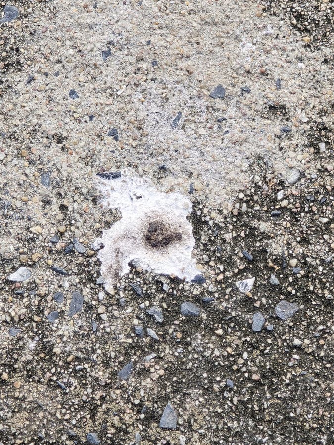 Textura Del Suelo De Cemento Sucio Imagen de archivo - Imagen de océano ...