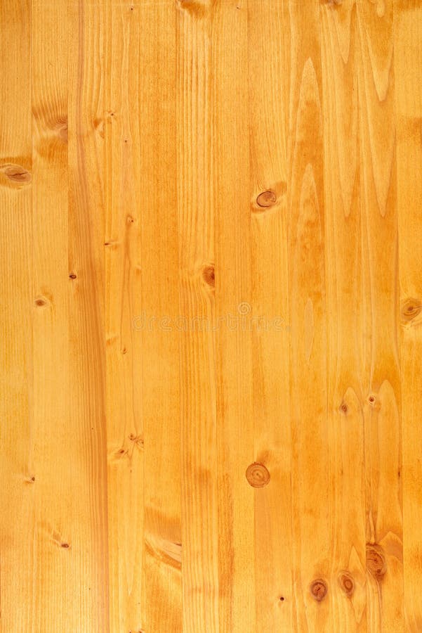 Pino amarillo foto de archivo. Imagen de rusia, follaje - 11782250