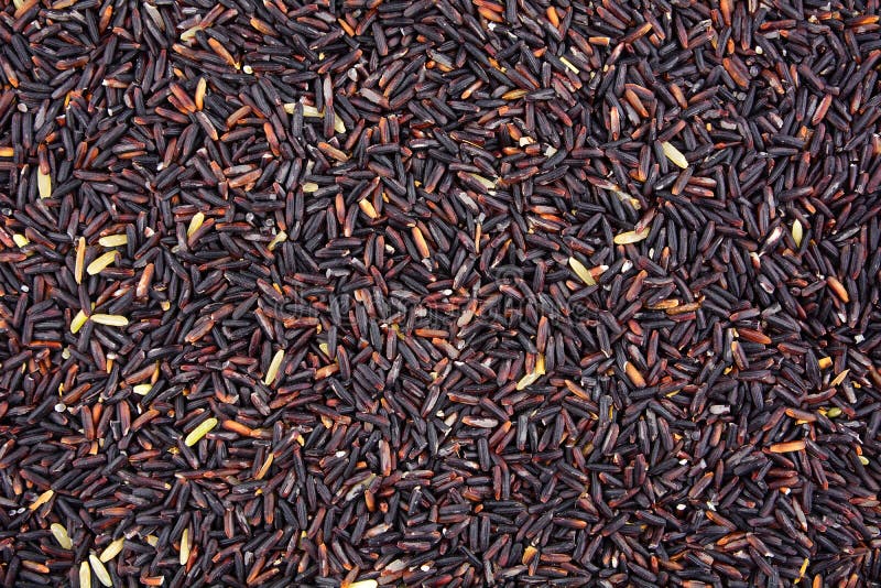 Textura Do Arroz Roxo Cru De Riceberry Foto de Stock - Imagem de ...
