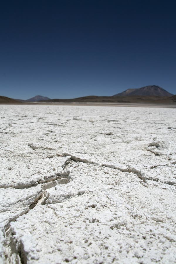 Textura de deserto de sal foto de stock. Imagem de parque - 52613488