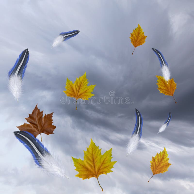 Textura Do Remoinho Com Penas E Folhas De Outono Ilustração Stock ...