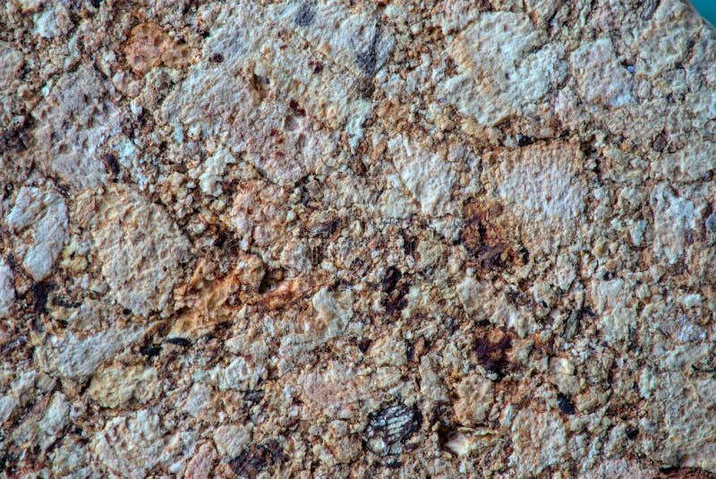 Textura En Detalle Material De Corcho Beige Foto de archivo - Imagen de ...