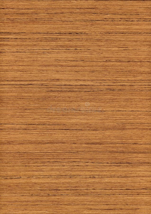 Textura Enorme De Madera De La Teca Foto de archivo - Imagen de modelo ...